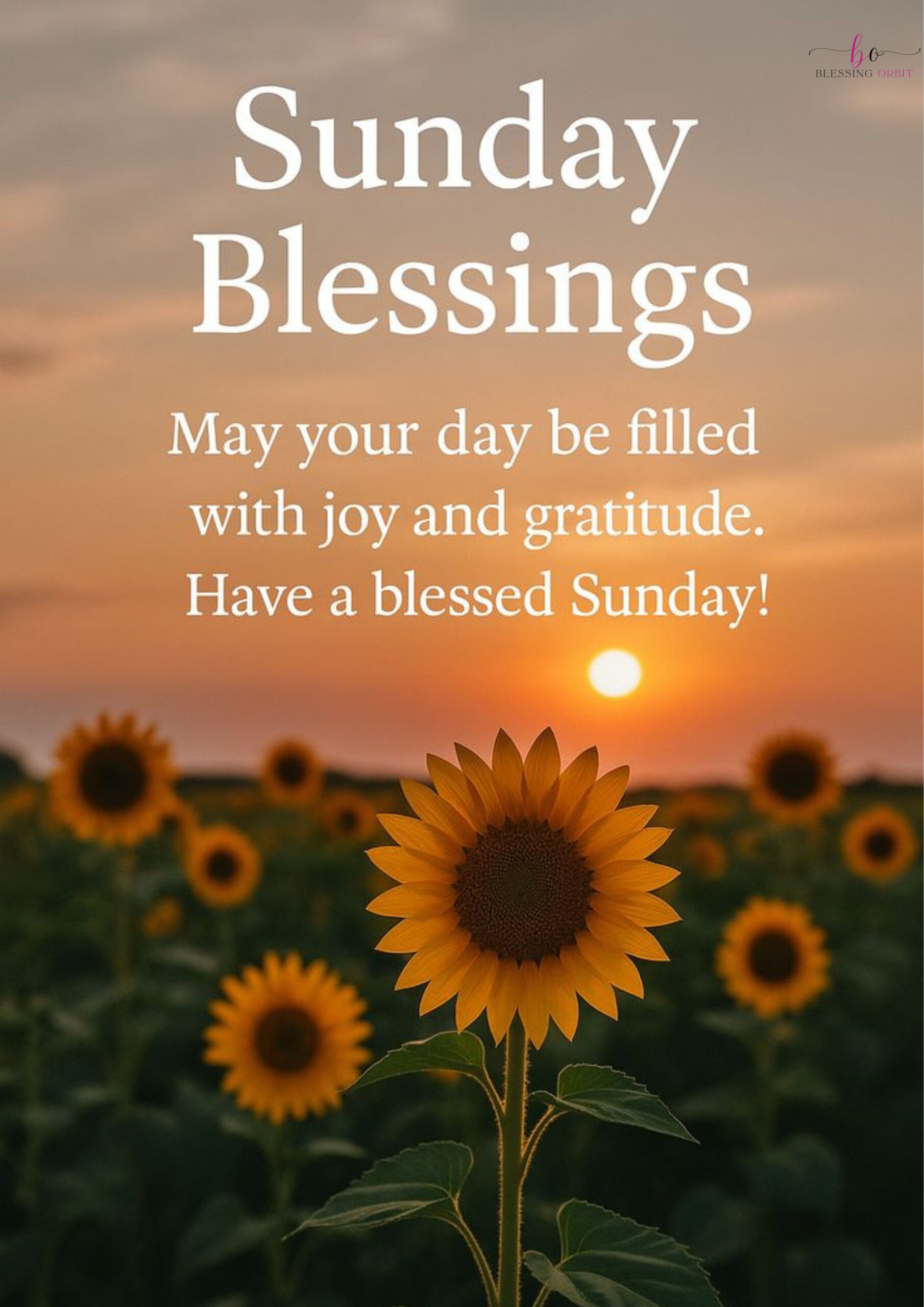 80+ Beautiful Good Morning Sunday Blessings, Wishes, Prayers & Quotes ...